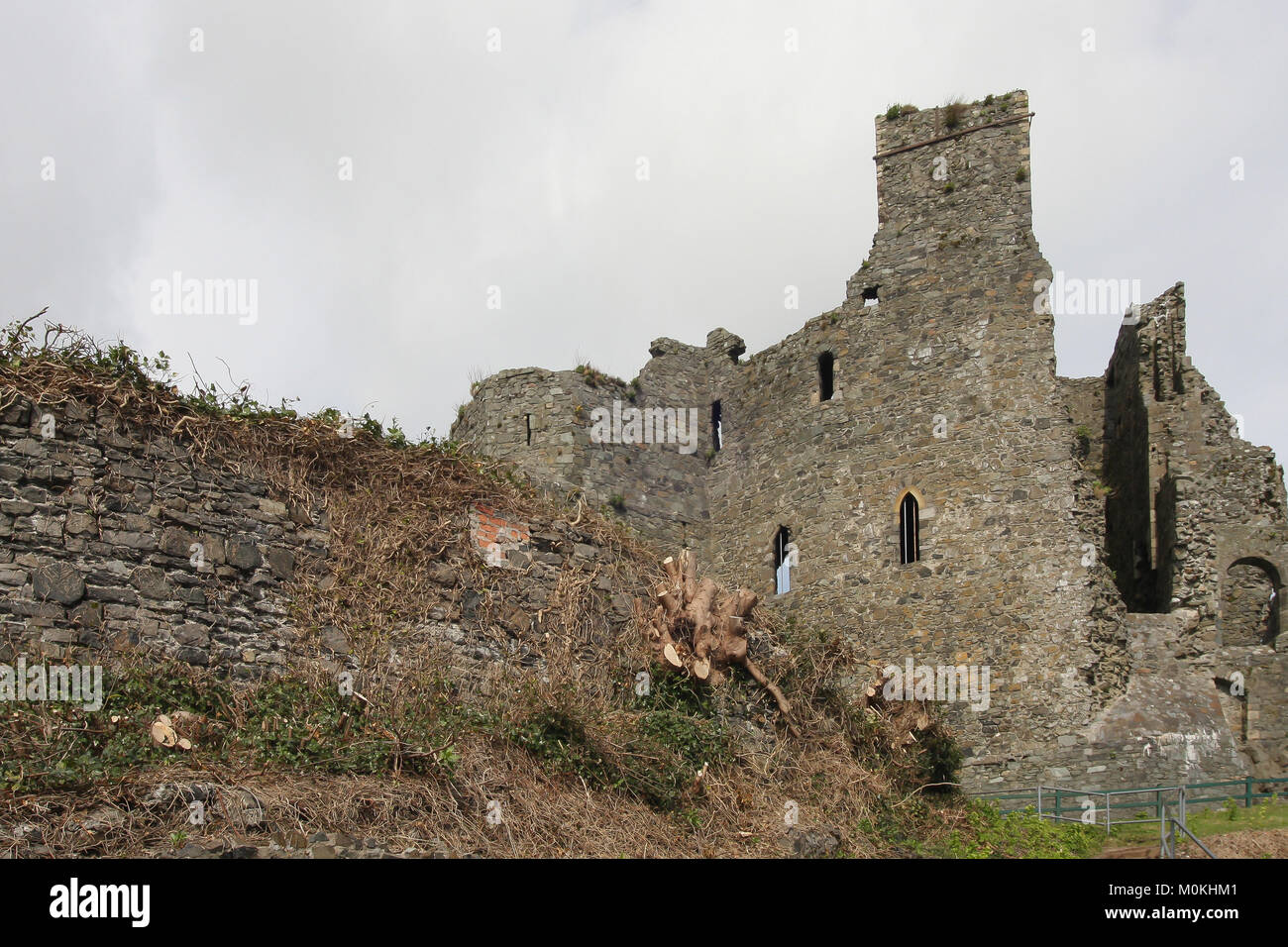 The remains of Carlingford Castle County Louth Ireland. The Norman ...