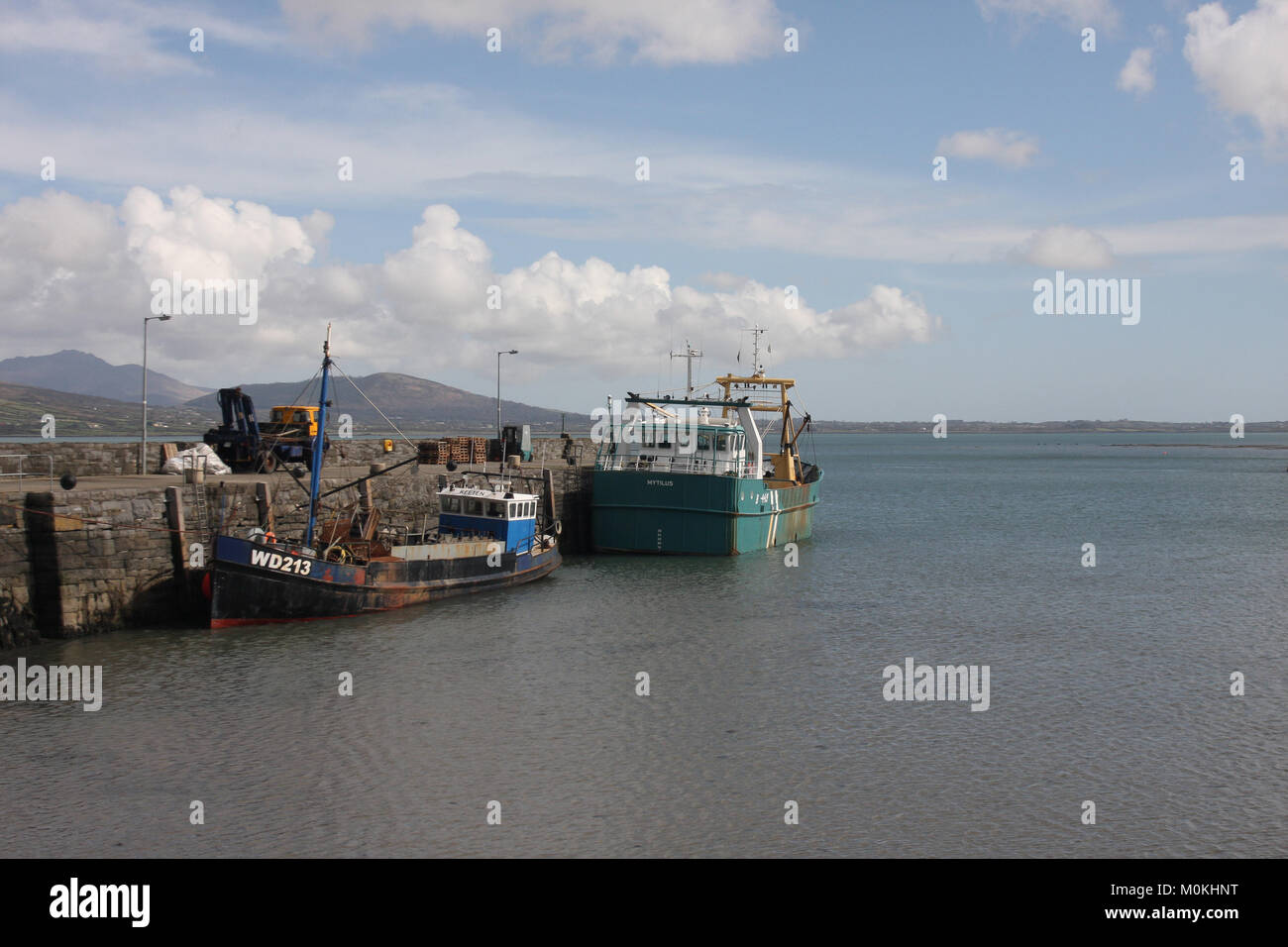 Carlingford Harbour - the harbour in Carlingford on the Cooley ...