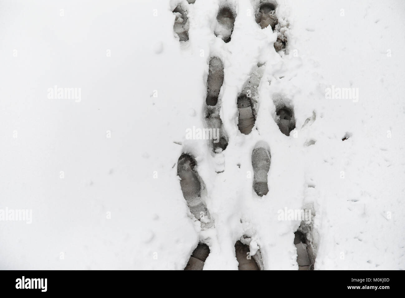 Footprints in the snow. Footprints on the first snow. Imprint of Stock ...