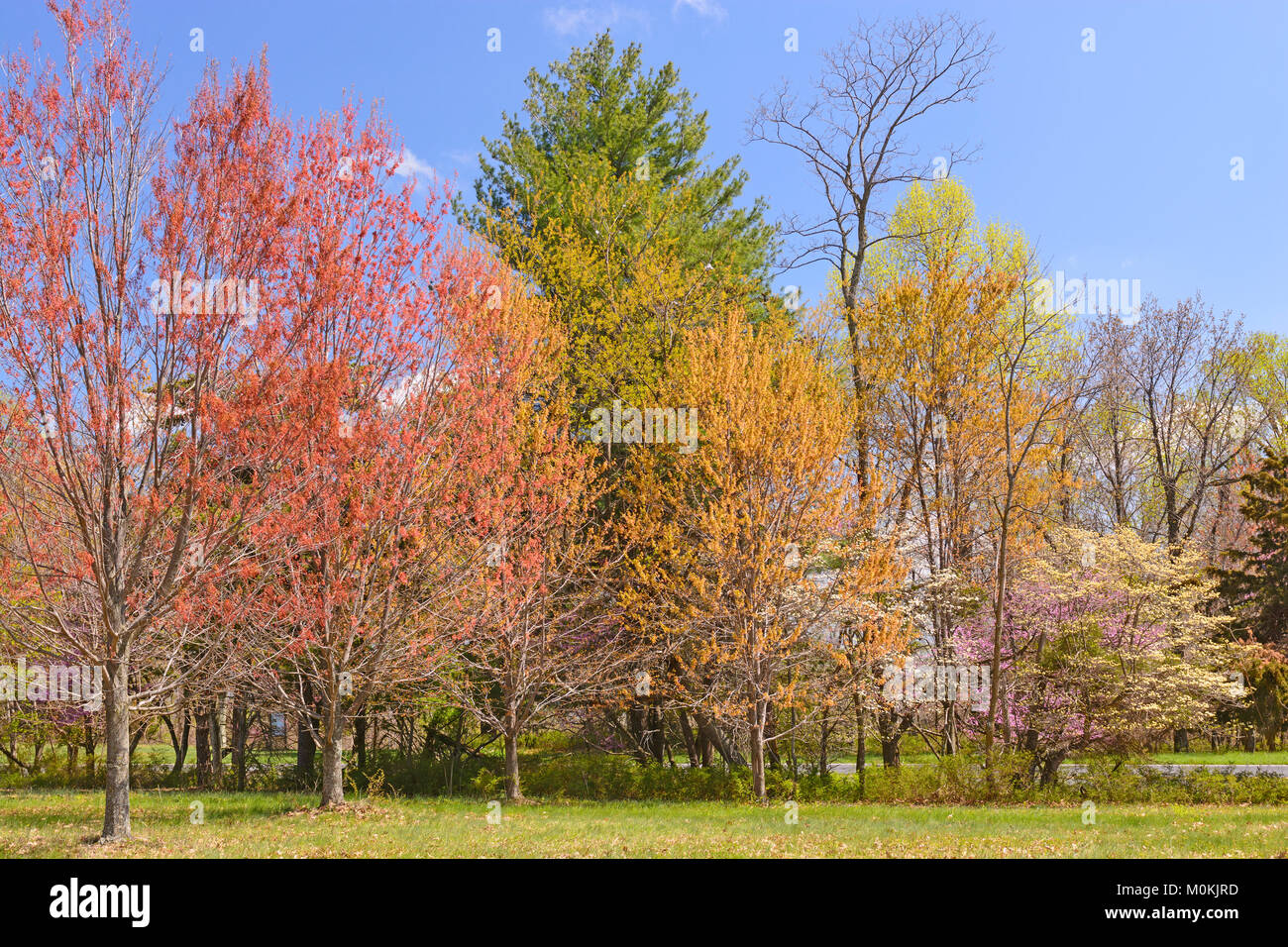 Skyline drive in hi-res stock photography and images - Alamy
