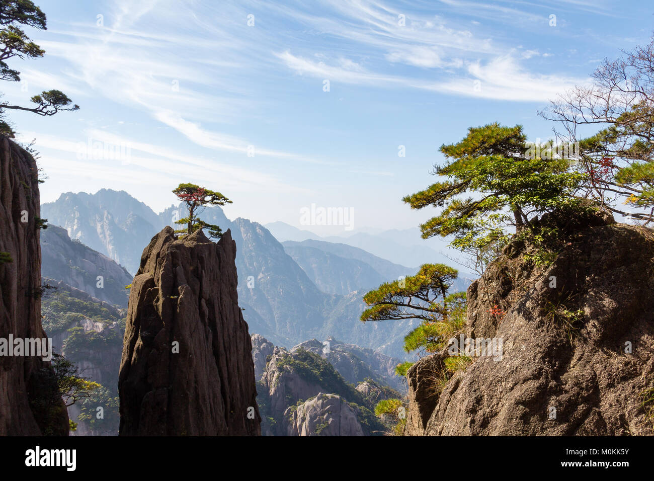 Huangshan pine tree yellow mountain hi-res stock photography and images ...