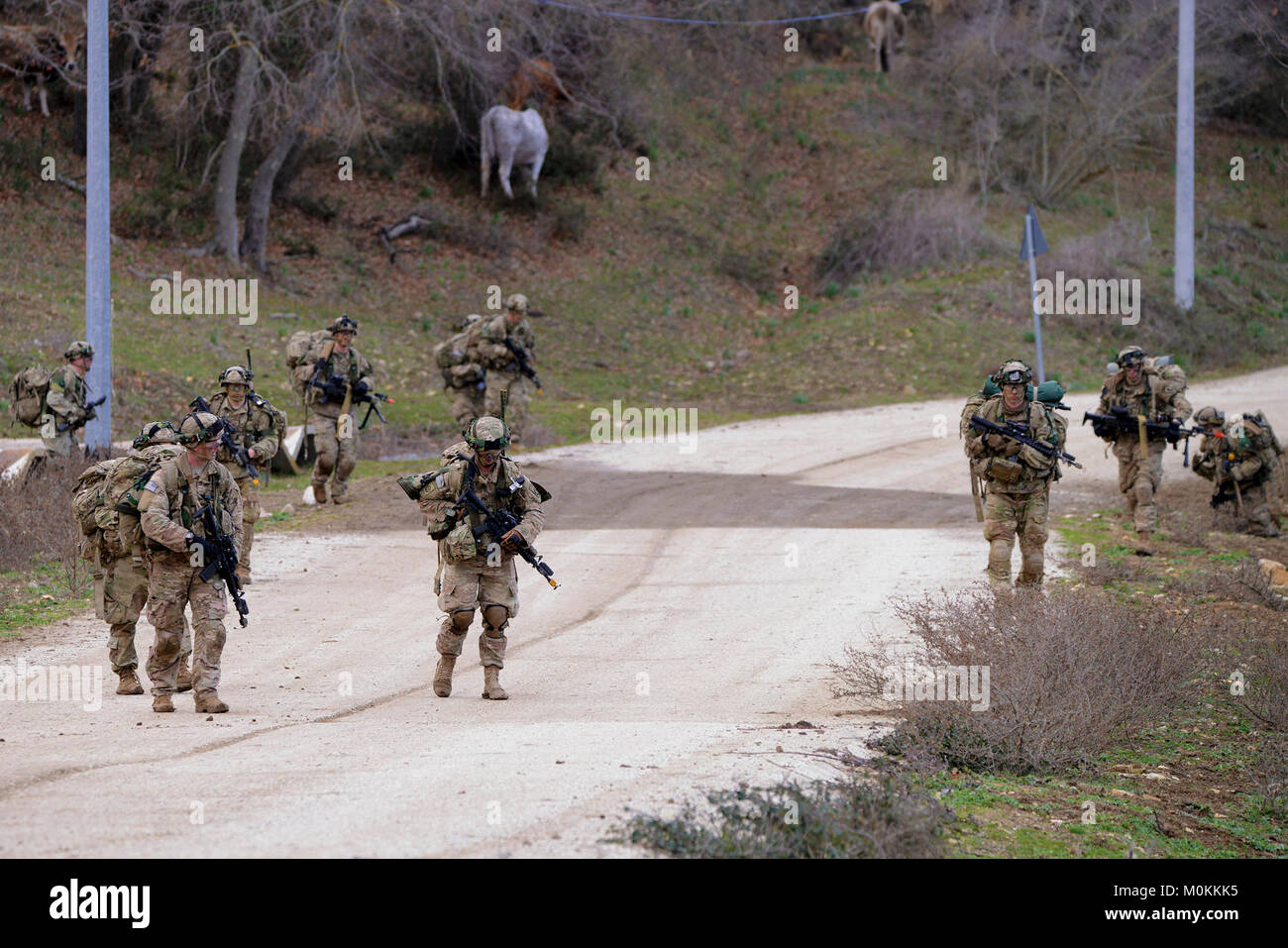 U.S. Army paratroopers assigned to the U.S. Army Dog Company, 1st ...