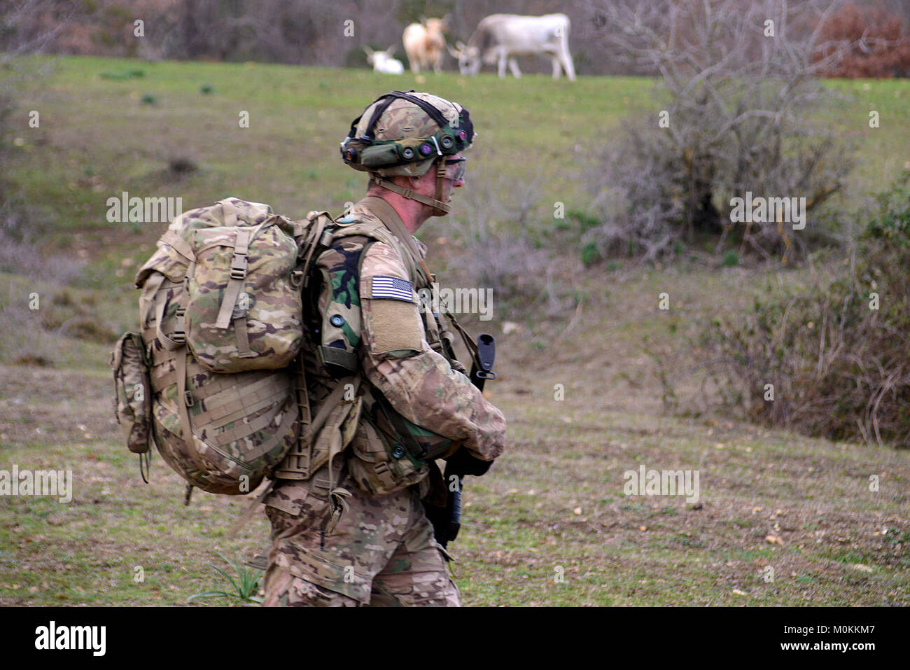 U.S. Army paratroopers assigned to the U.S. Army Dog Company, 1st ...