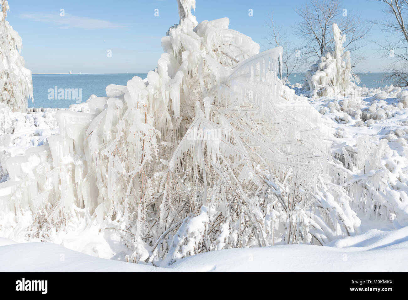 Frozen trees covered in ice by the lake Michigan in Chicago downtown ...