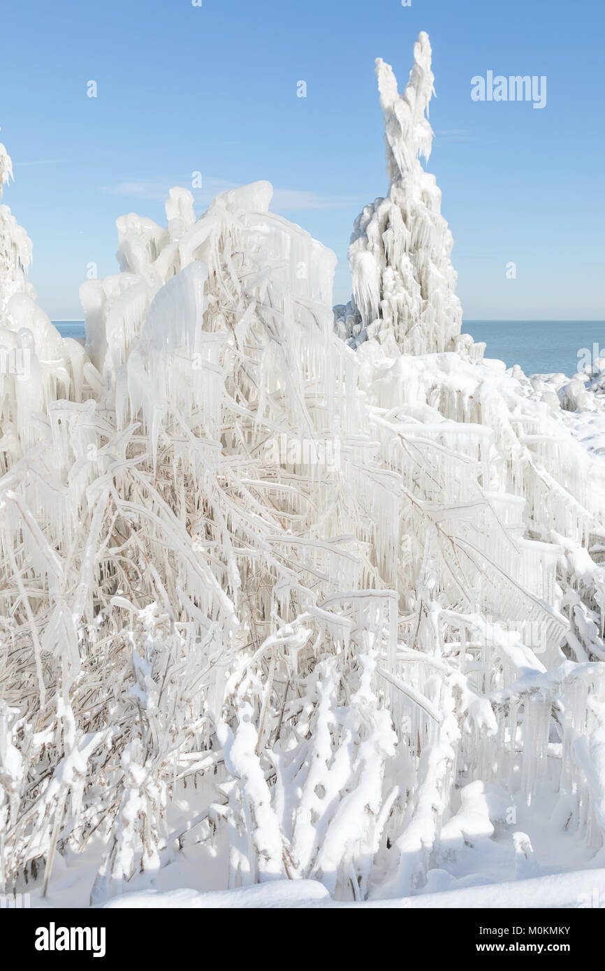 Frozen trees covered in ice by the lake Michigan in Chicago downtown ...