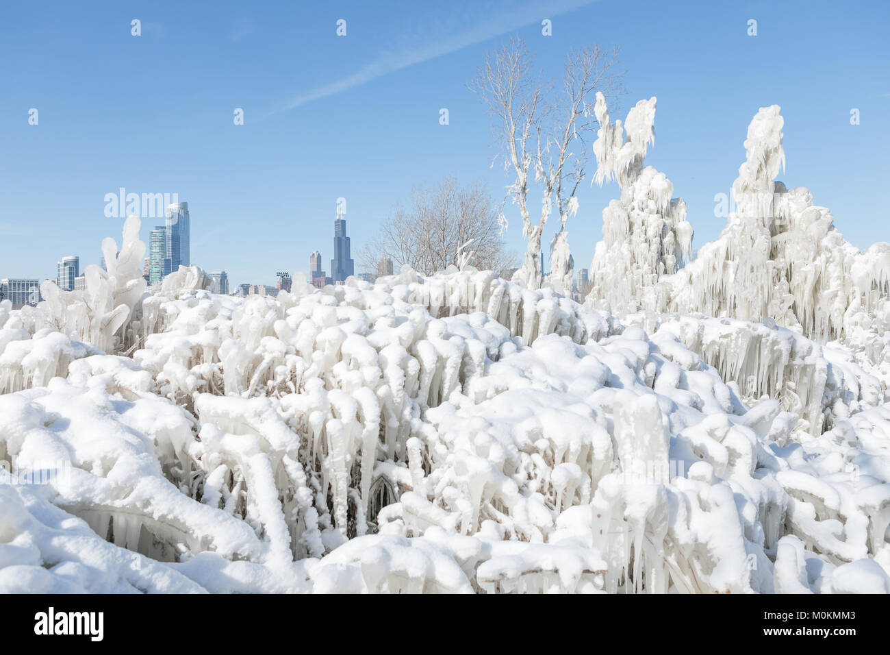 Frozen trees covered in ice by the lake Michigan in Chicago downtown ...