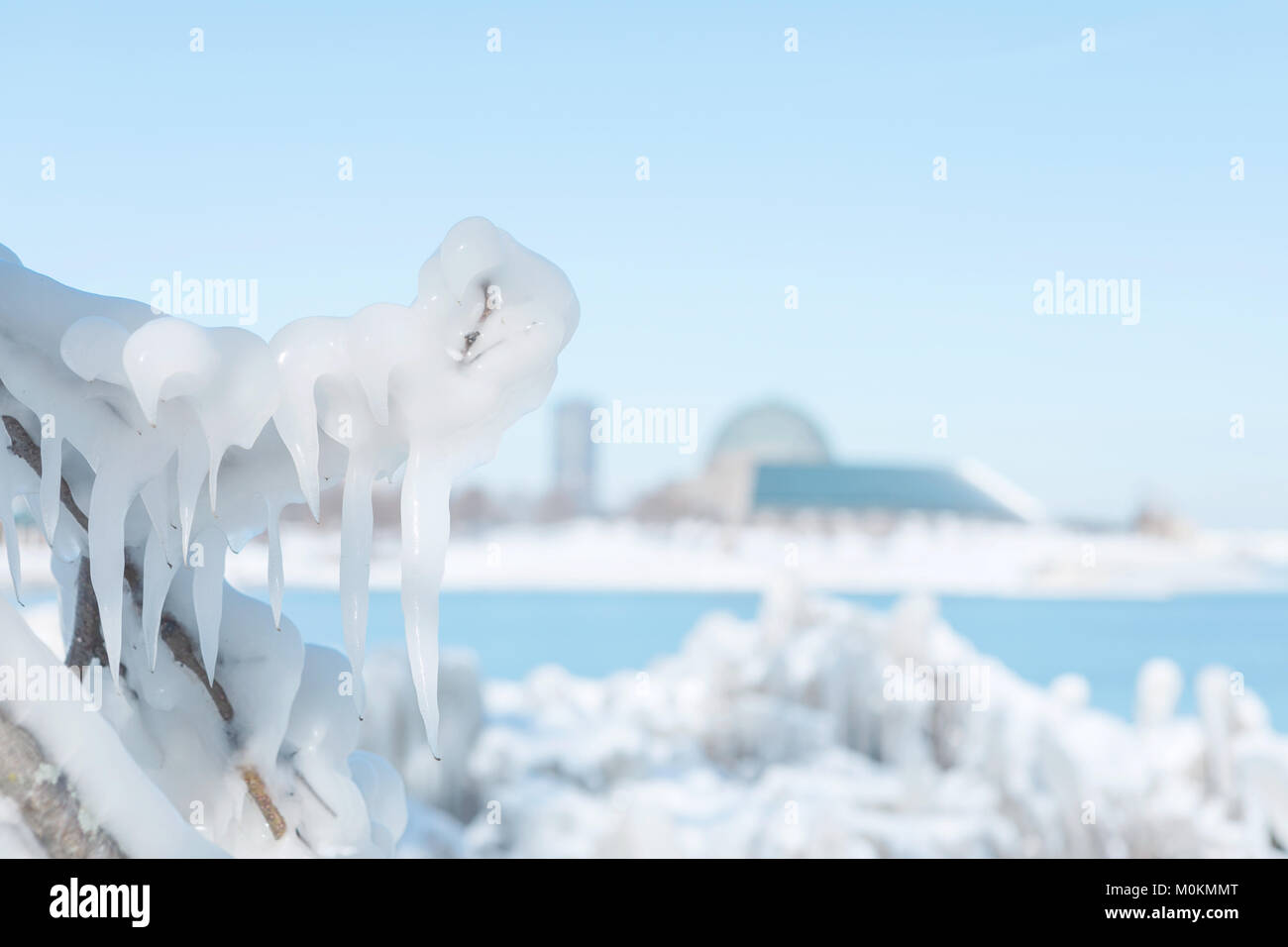 Frozen trees covered in ice by the lake Michigan in Chicago downtown ...