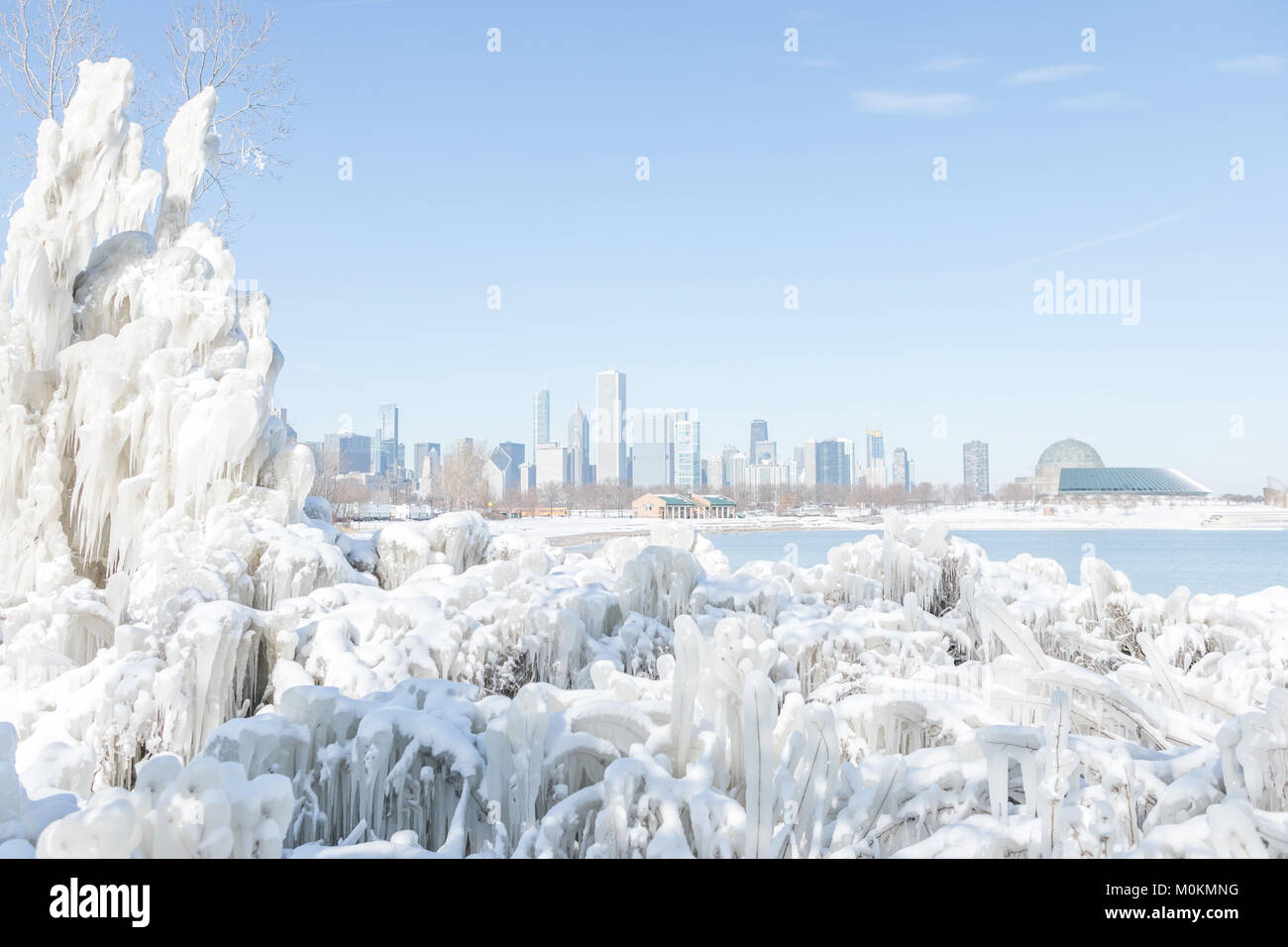 Frozen trees covered in ice by the lake Michigan in Chicago downtown ...