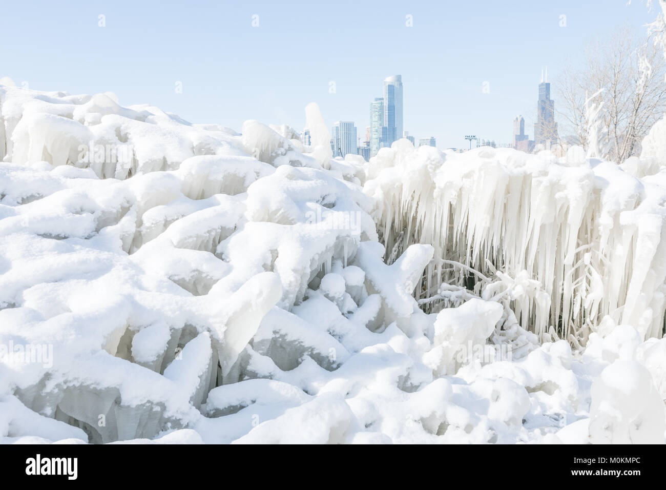 Frozen trees covered in ice by the lake Michigan in Chicago downtown ...