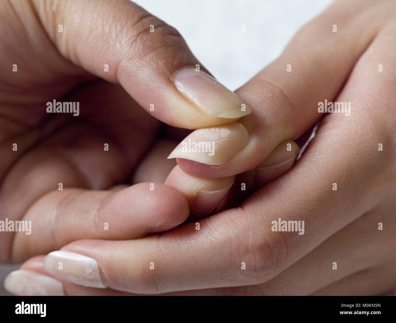 A close up of female hands doing manicure, applying glue for acrylic ...