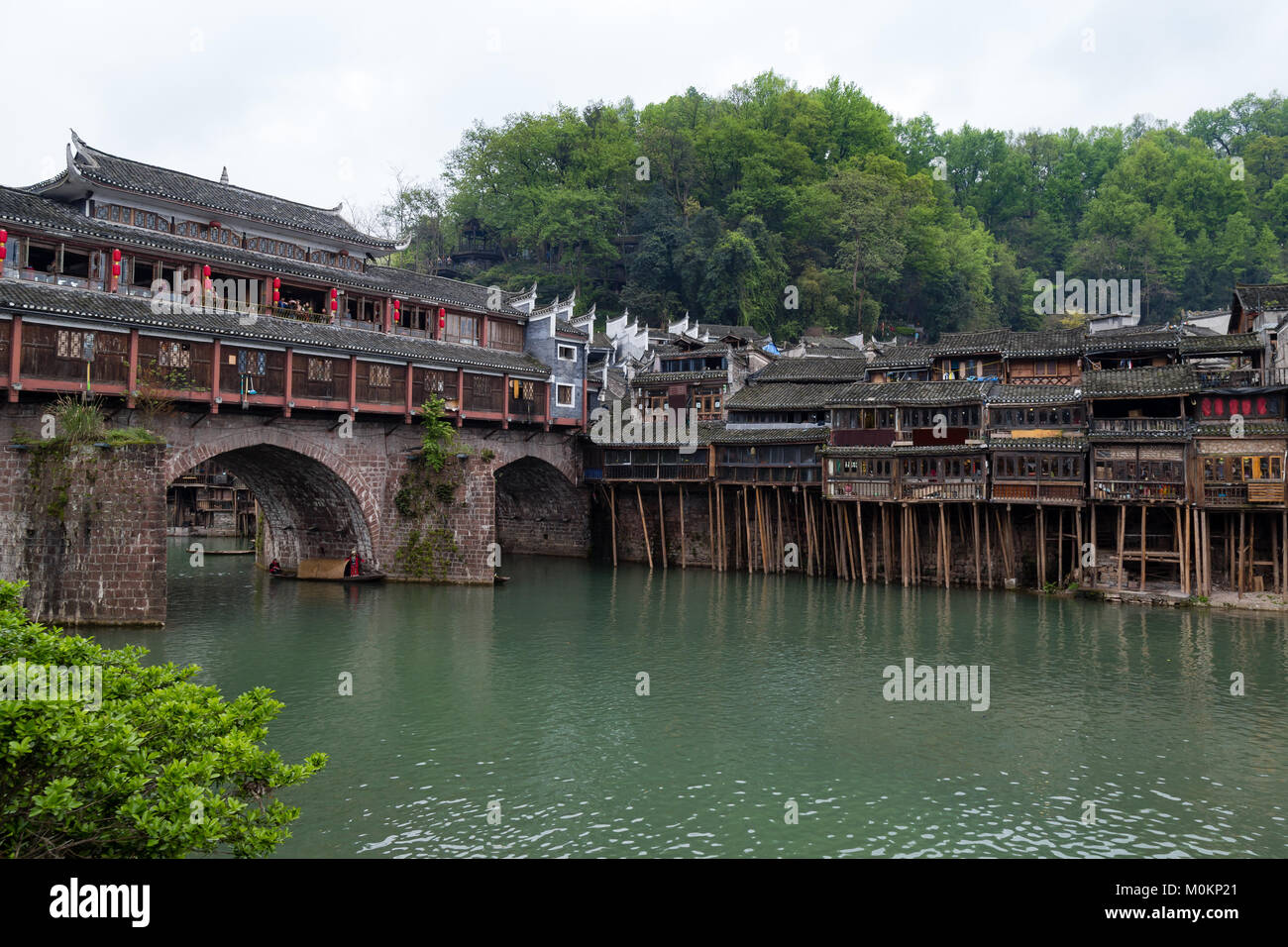 Phoenix hong hi-res stock photography and images - Alamy