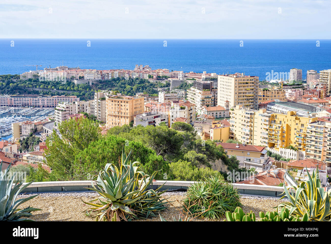 Daylight view from flowers to tall city buildings, Port Hercule full of ...