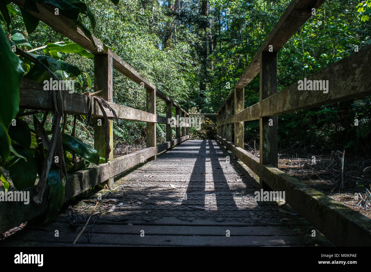 Perspective of a bridge Stock Photo - Alamy
