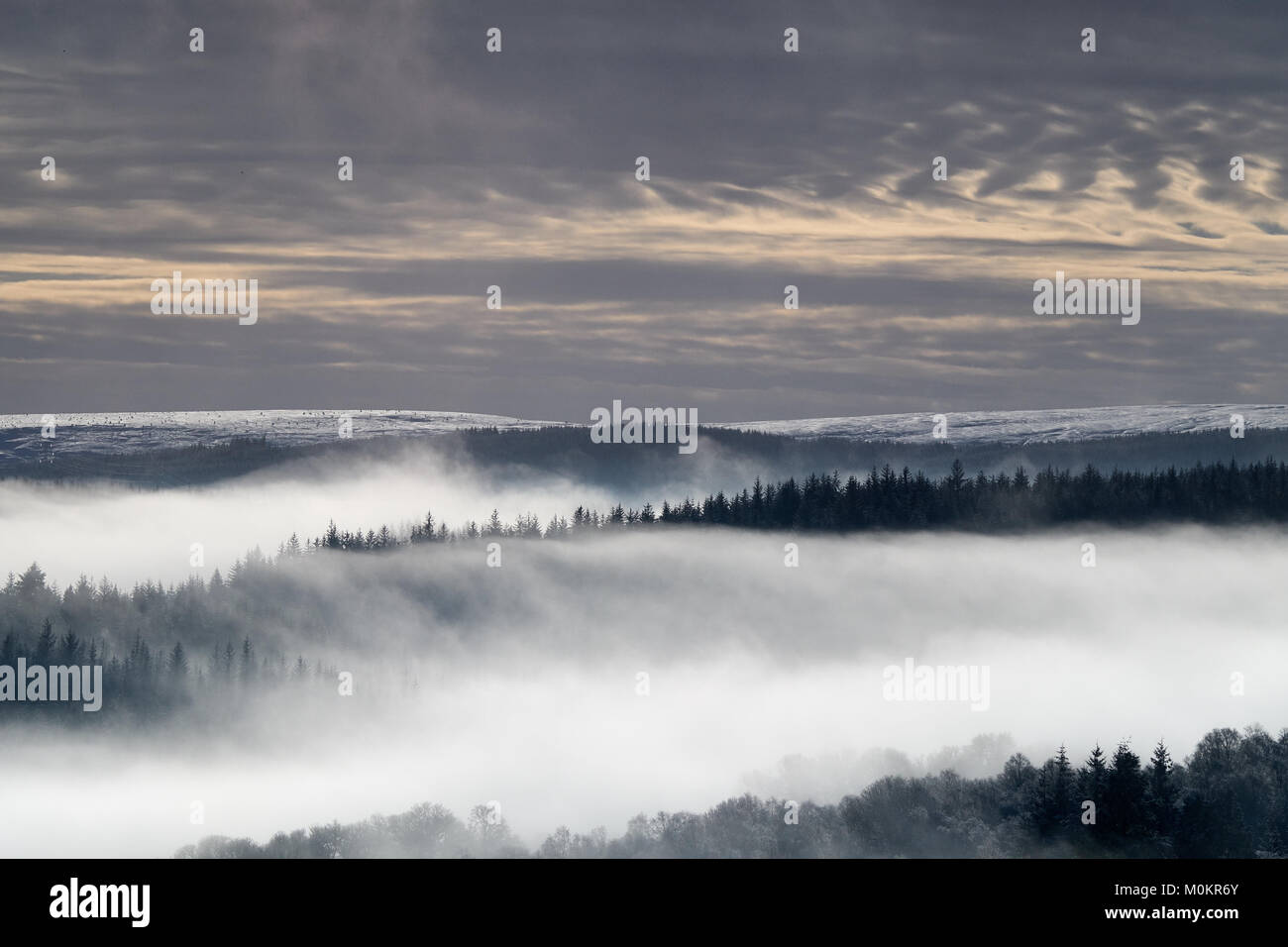 Stunning autumn landscape with foggy trees in front of a dramatic ...