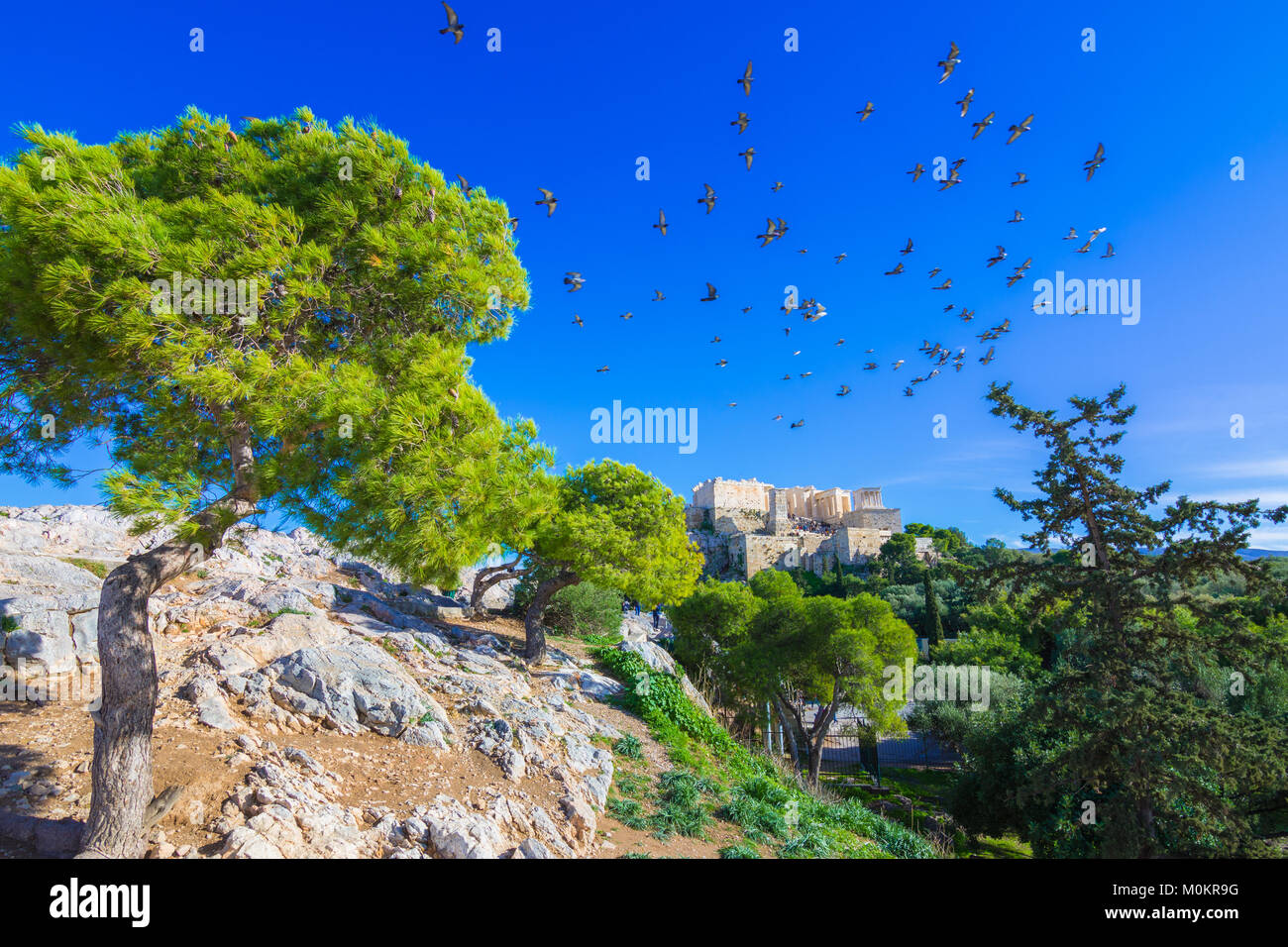 Acropolis with Parthenon. View through a frame of green plants, trees ...