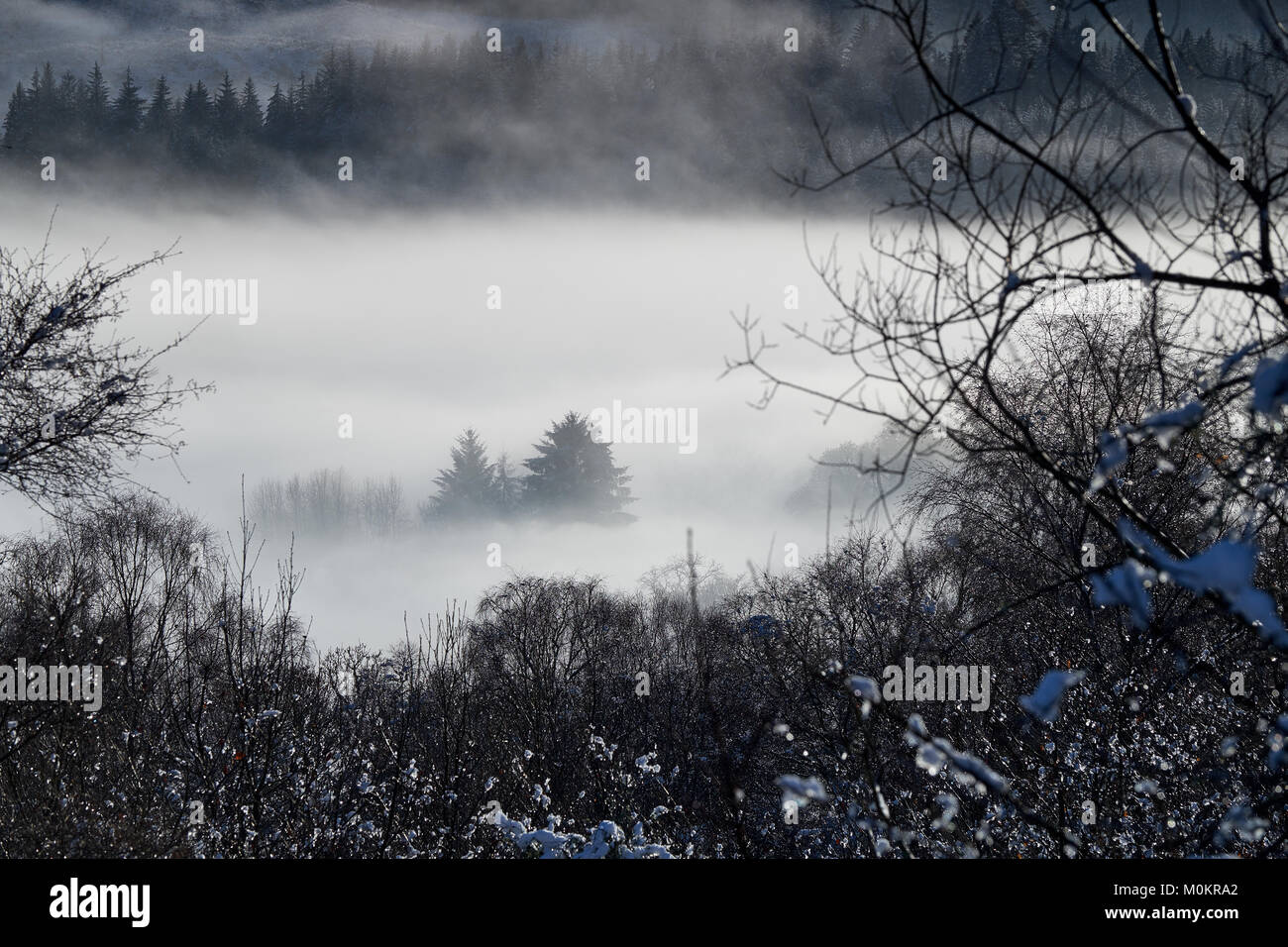 Stunning autumn landscape with foggy trees in front Stock Photo - Alamy