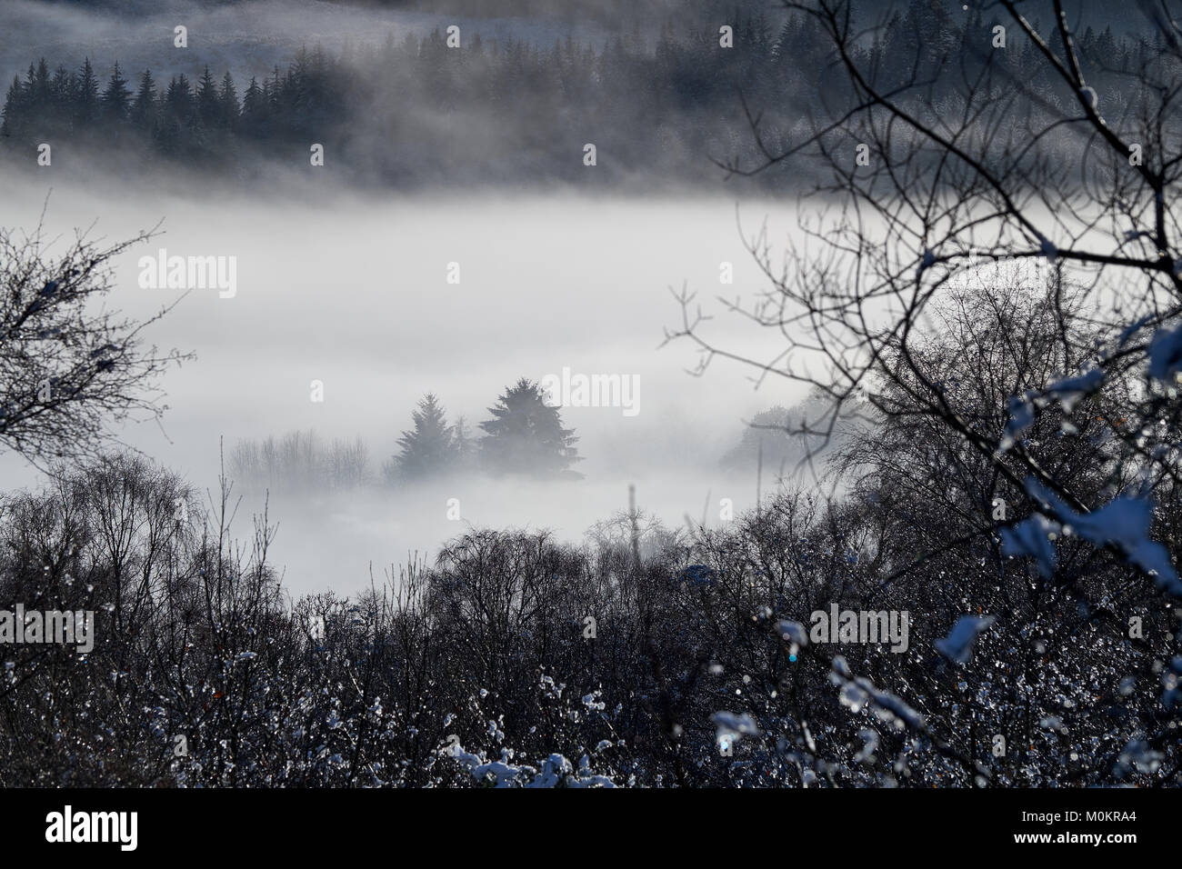 Stunning autumn landscape with foggy trees in front Stock Photo - Alamy