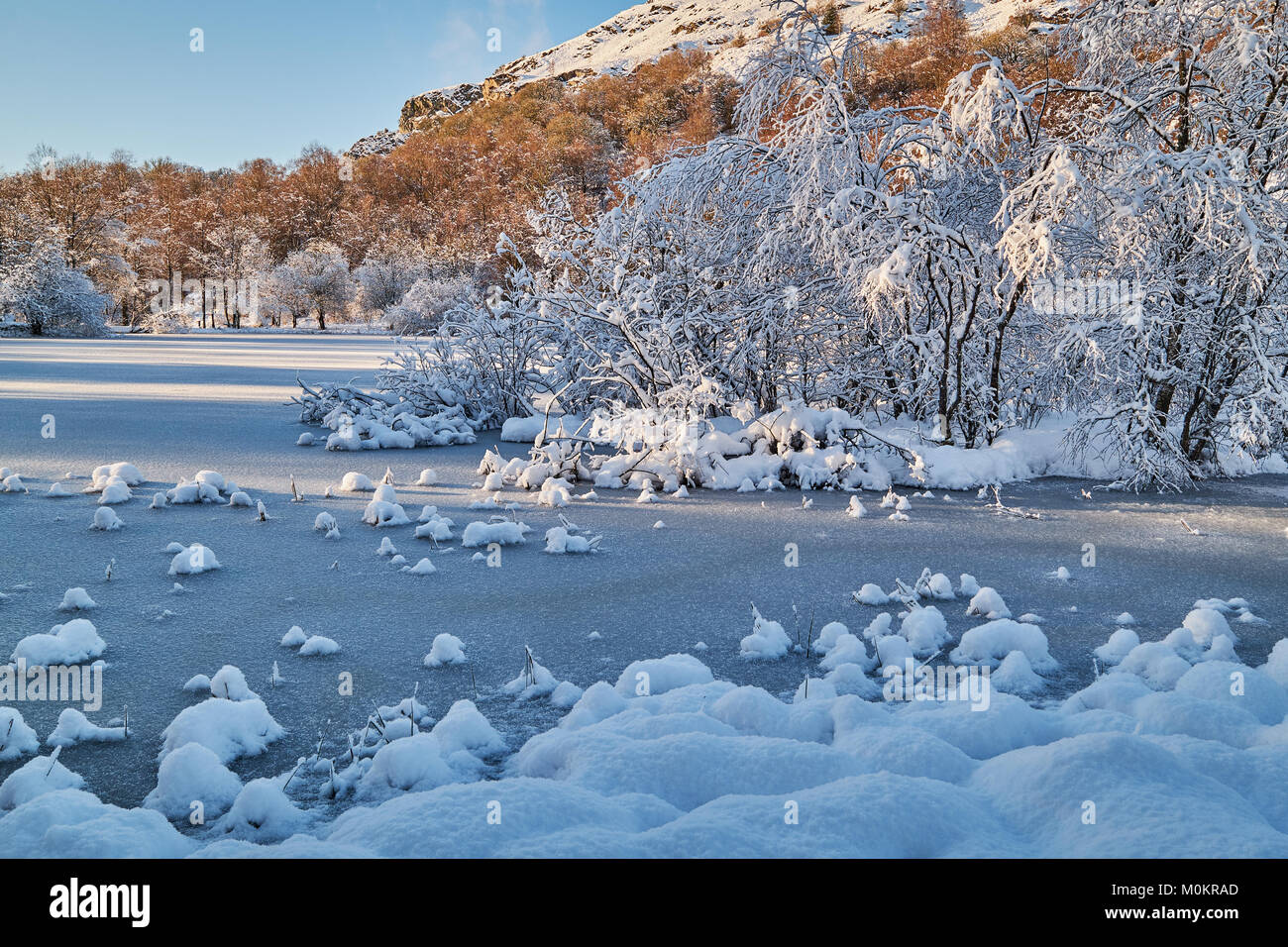 Frozen lake in the forest covered with snow Stock Photo - Alamy