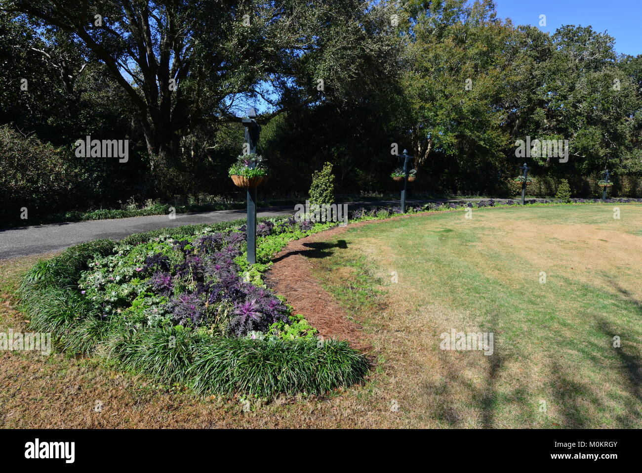 A country in Mobile Alabama in winter Stock Photo - Alamy
