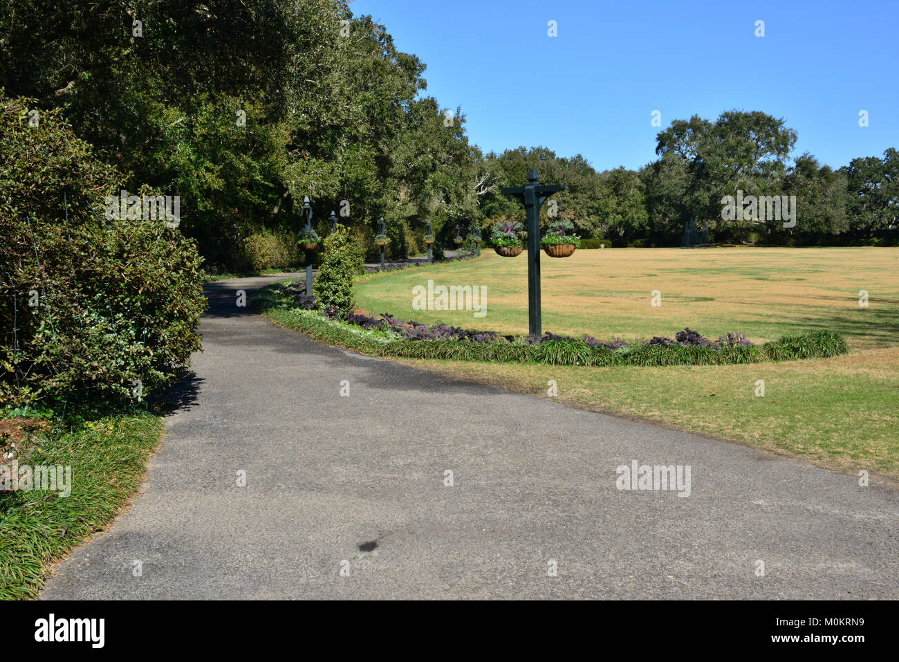 A country in Mobile Alabama in winter Stock Photo - Alamy