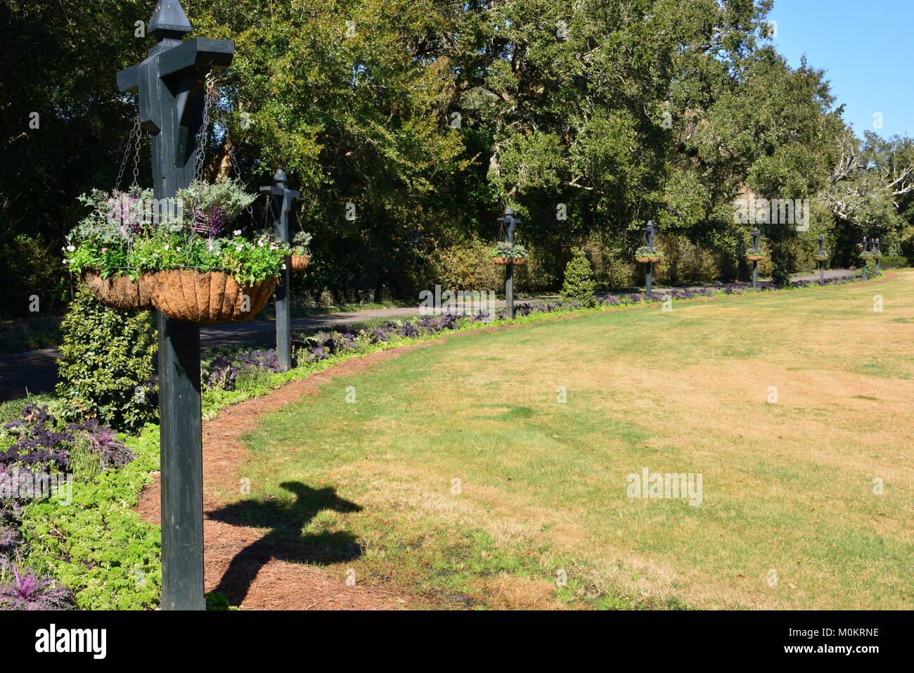 A country in Mobile Alabama in winter Stock Photo - Alamy