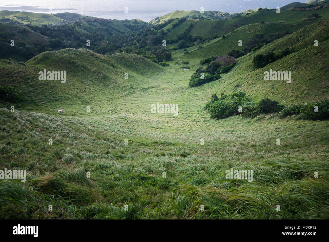 Grassland of Batanes, Philippines Stock Photo - Alamy