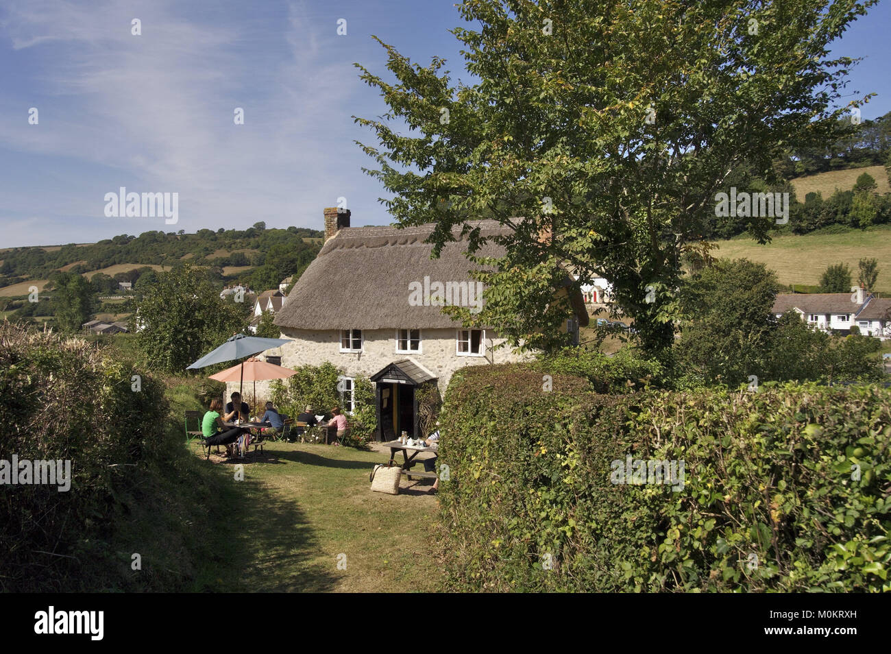 Thatched cottage house home DEvon England UK Stock Photo - Alamy