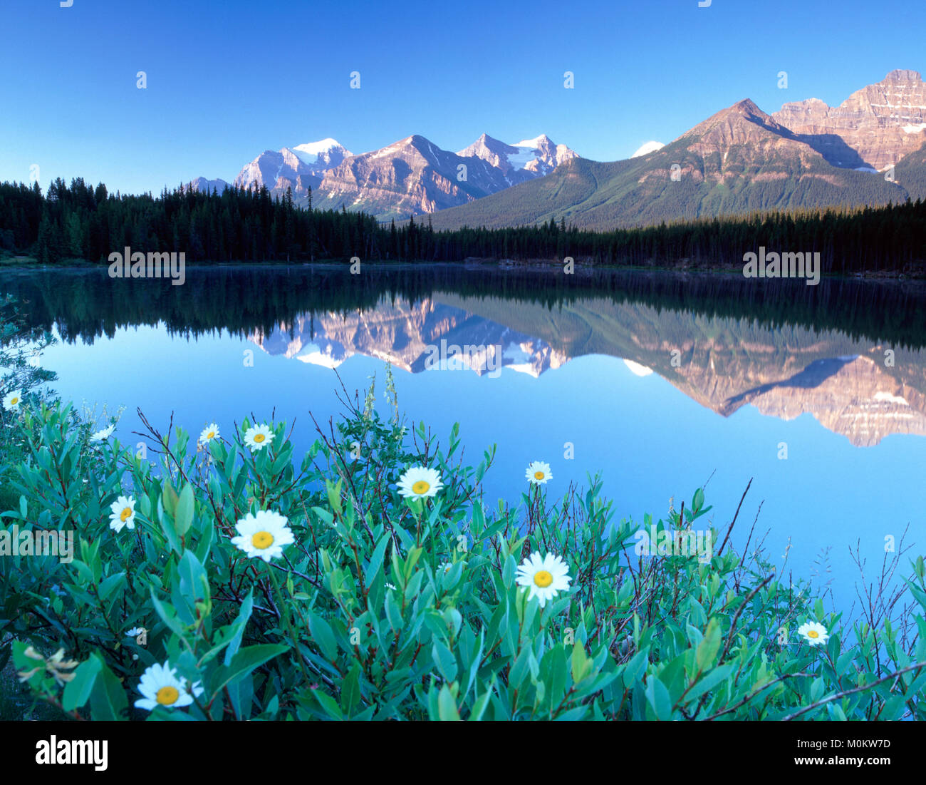 Herbert Lake Banff National Park Alberta Canada Stock Photo - Alamy