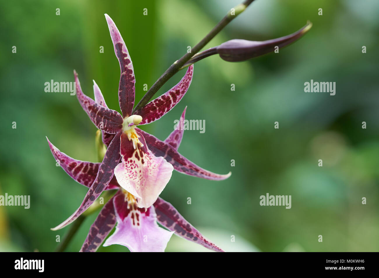 Assembly plants hi-res stock photography and images - Alamy