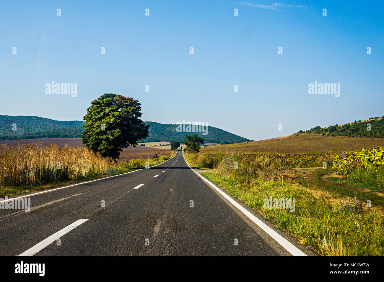 Modern road going through nature Stock Photo - Alamy