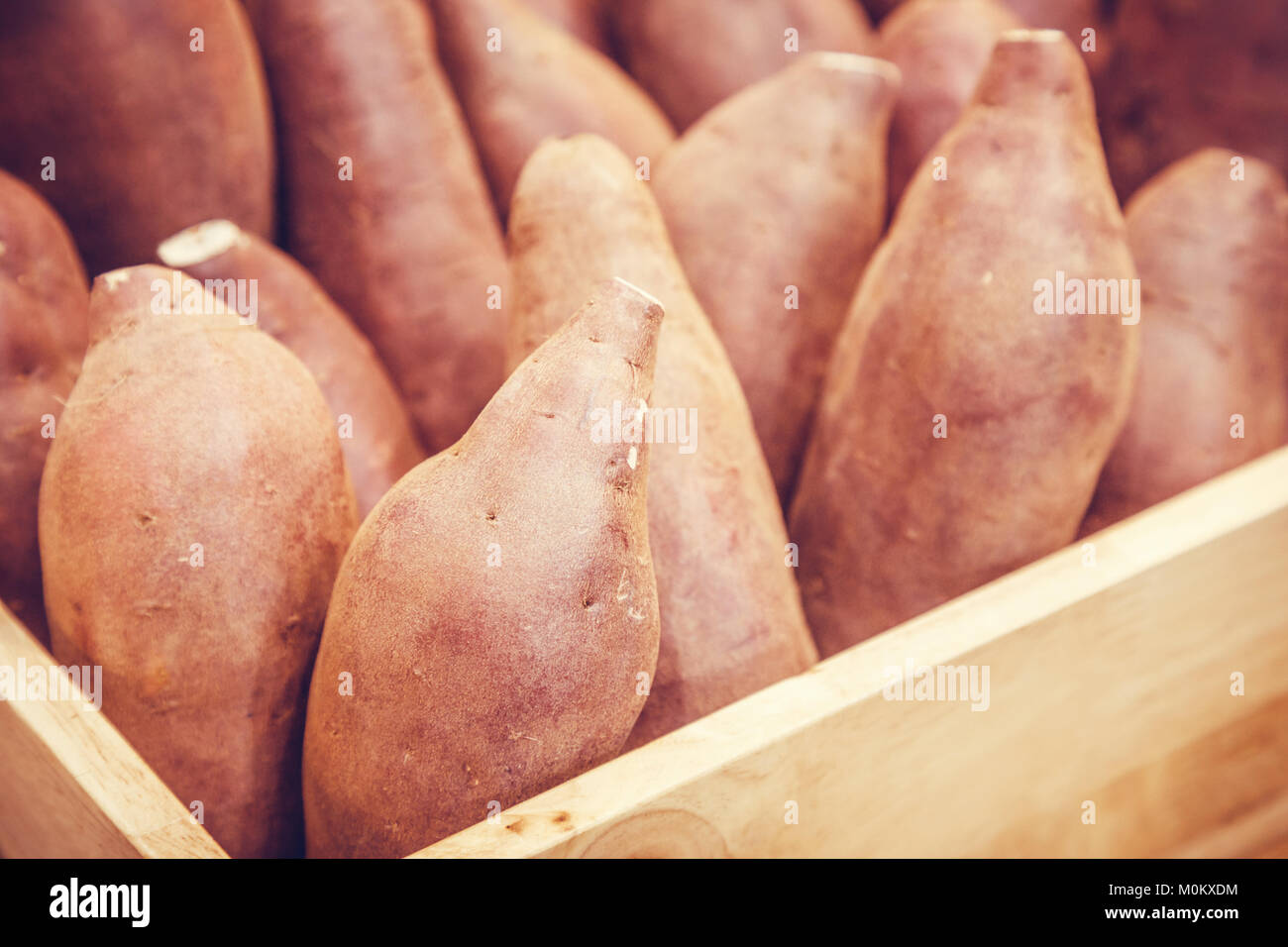 fresh organic sweet potato in the wooden crate, vintage photo and film ...