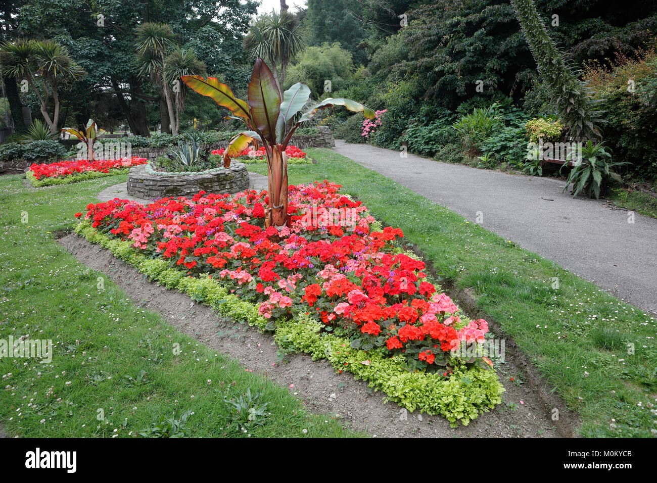 Newquay in bloom hi-res stock photography and images - Alamy