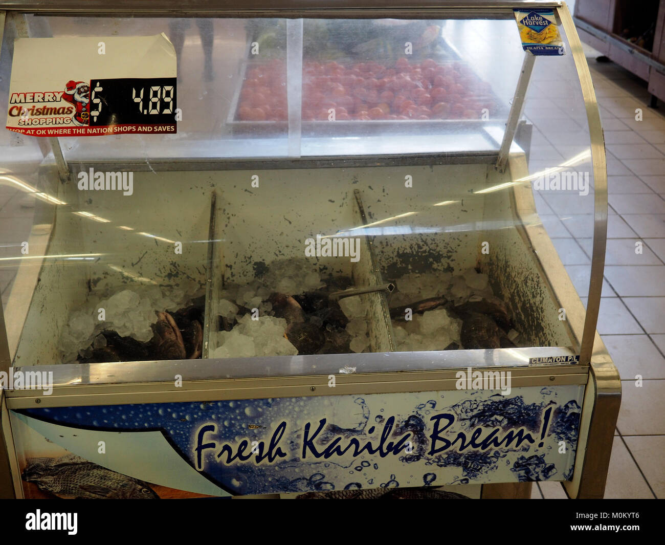 Bream fish hi-res stock photography and images - Alamy