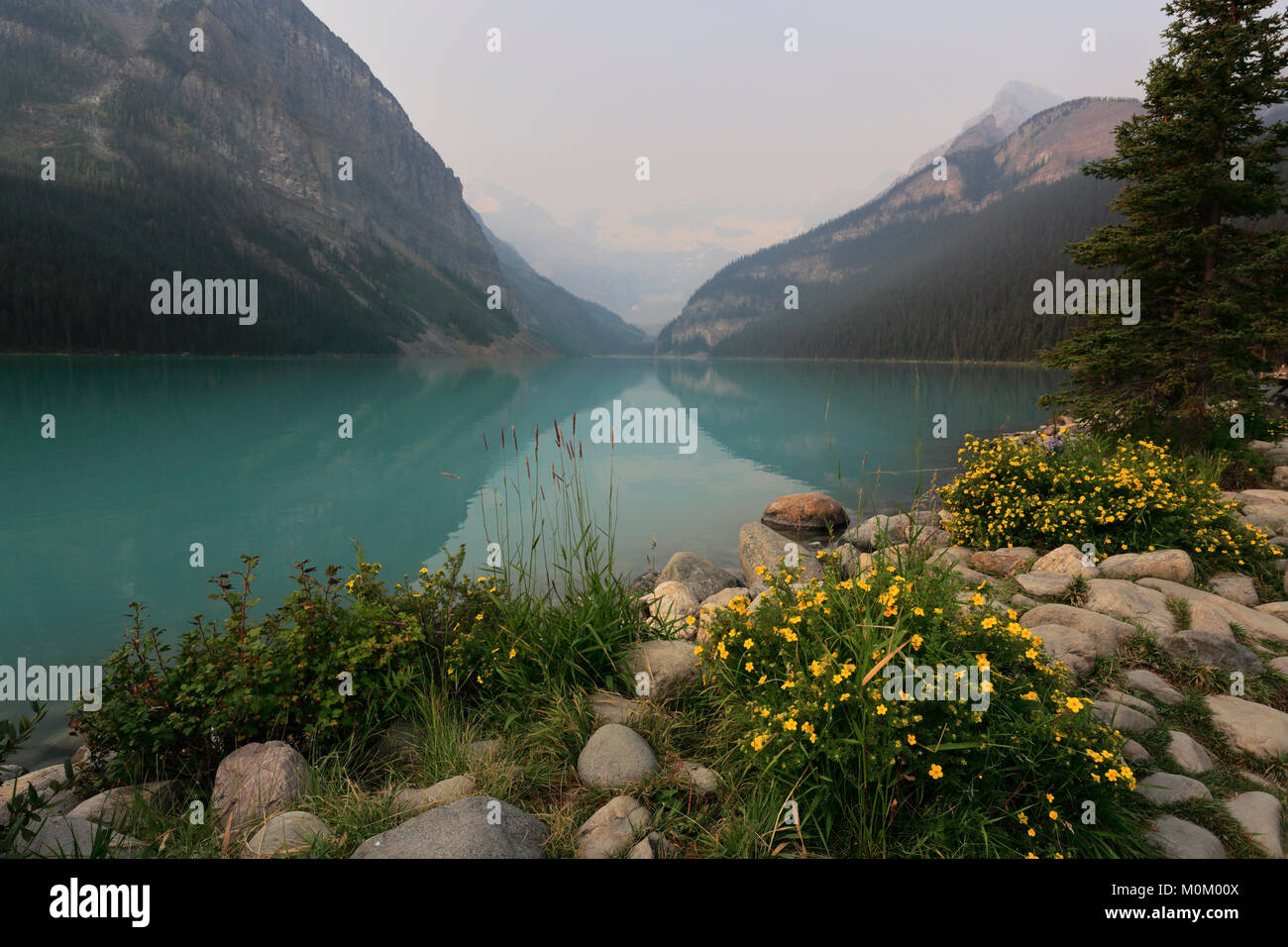 The glacial Lake Louise, Banff national Park, UNESCO World Heritage ...