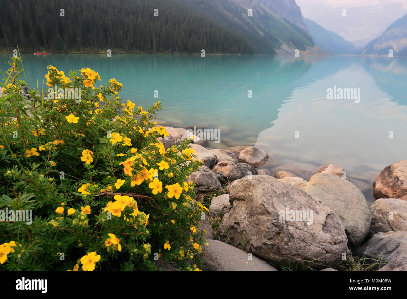 The glacial Lake Louise, Banff national Park, UNESCO World Heritage ...