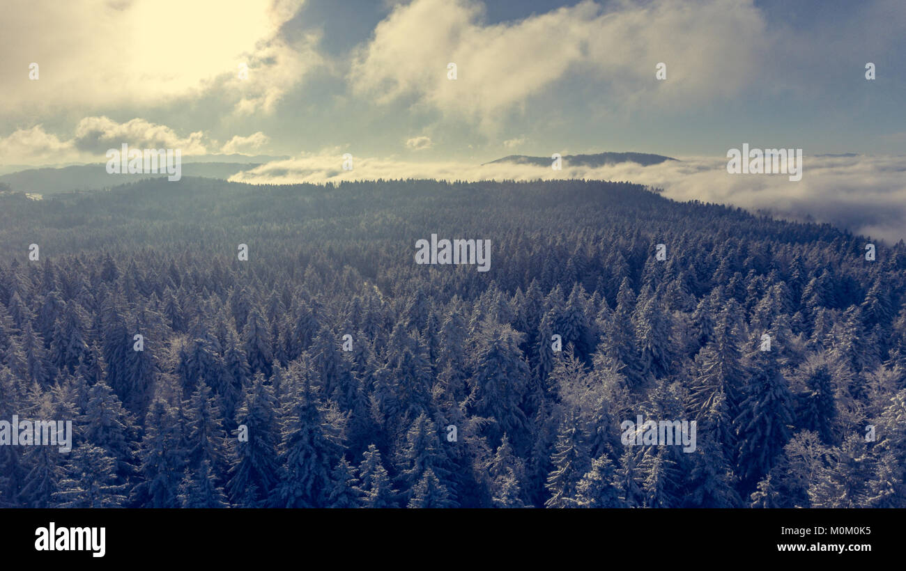Aerial view of winter forest. Snow covered tree tops from above Stock ...