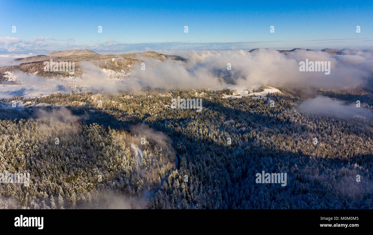 Aerial view of winter forest. Snow covered tree tops from above Stock ...