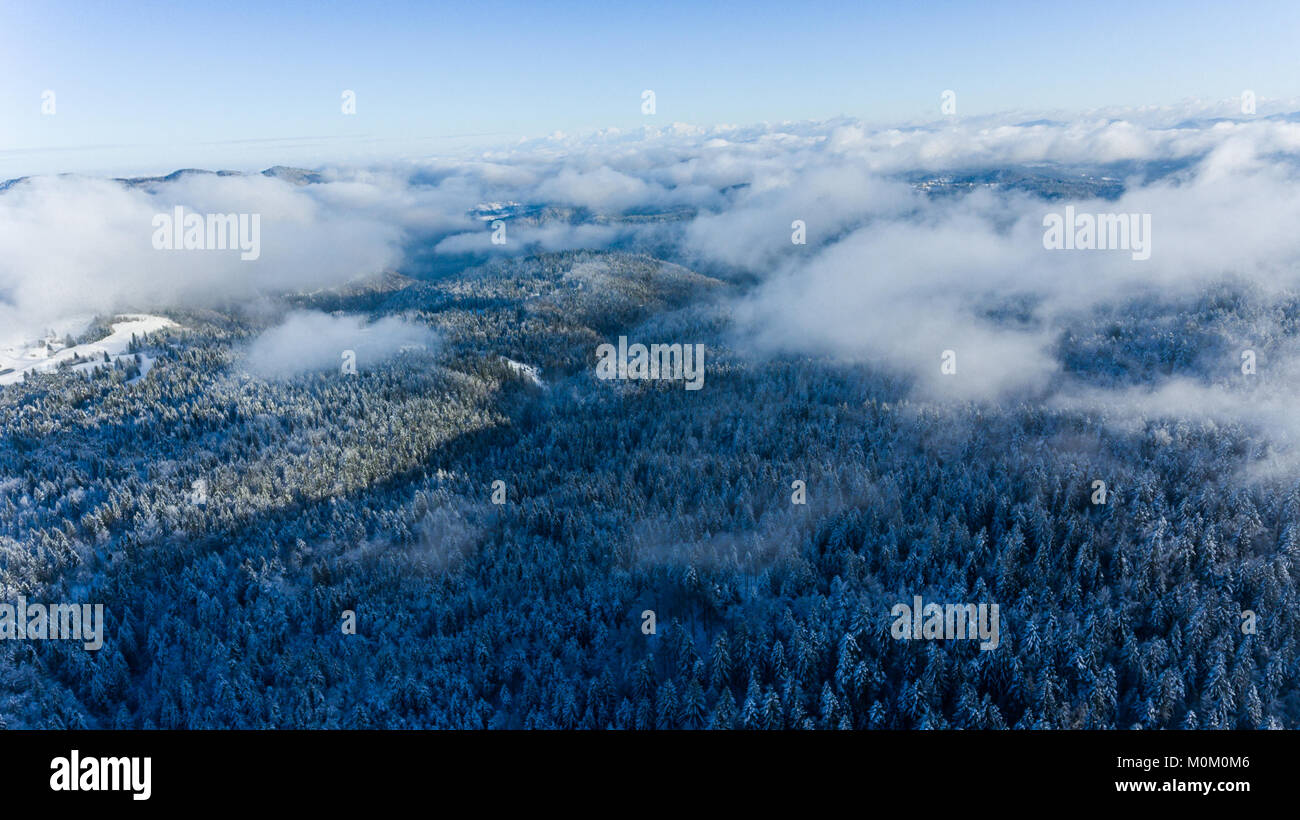 Aerial view of winter forest. Snow covered tree tops from above Stock ...