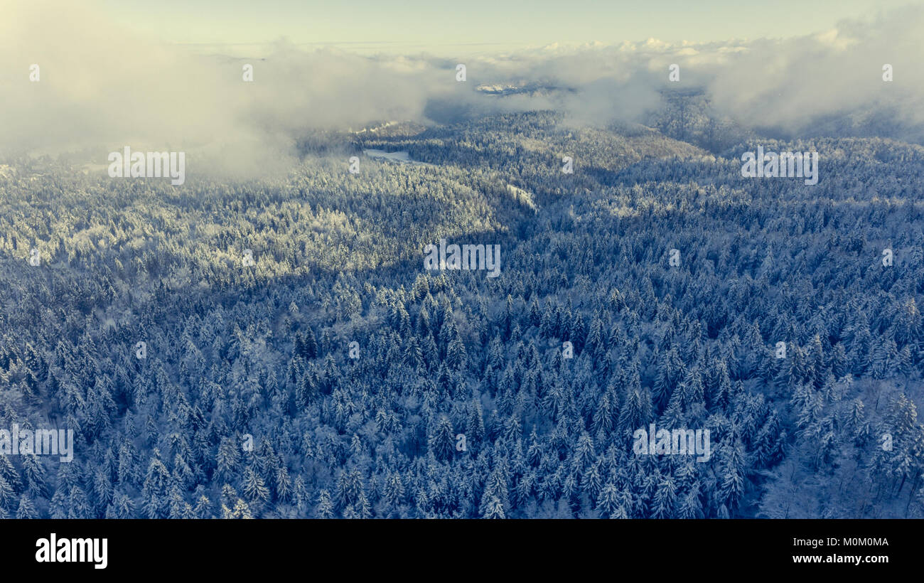 Aerial view of winter forest. Snow covered tree tops from above Stock ...