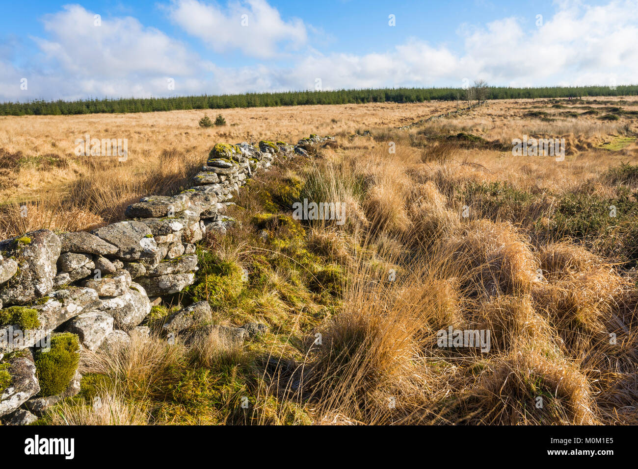 Devon dry stone walls hi-res stock photography and images - Alamy