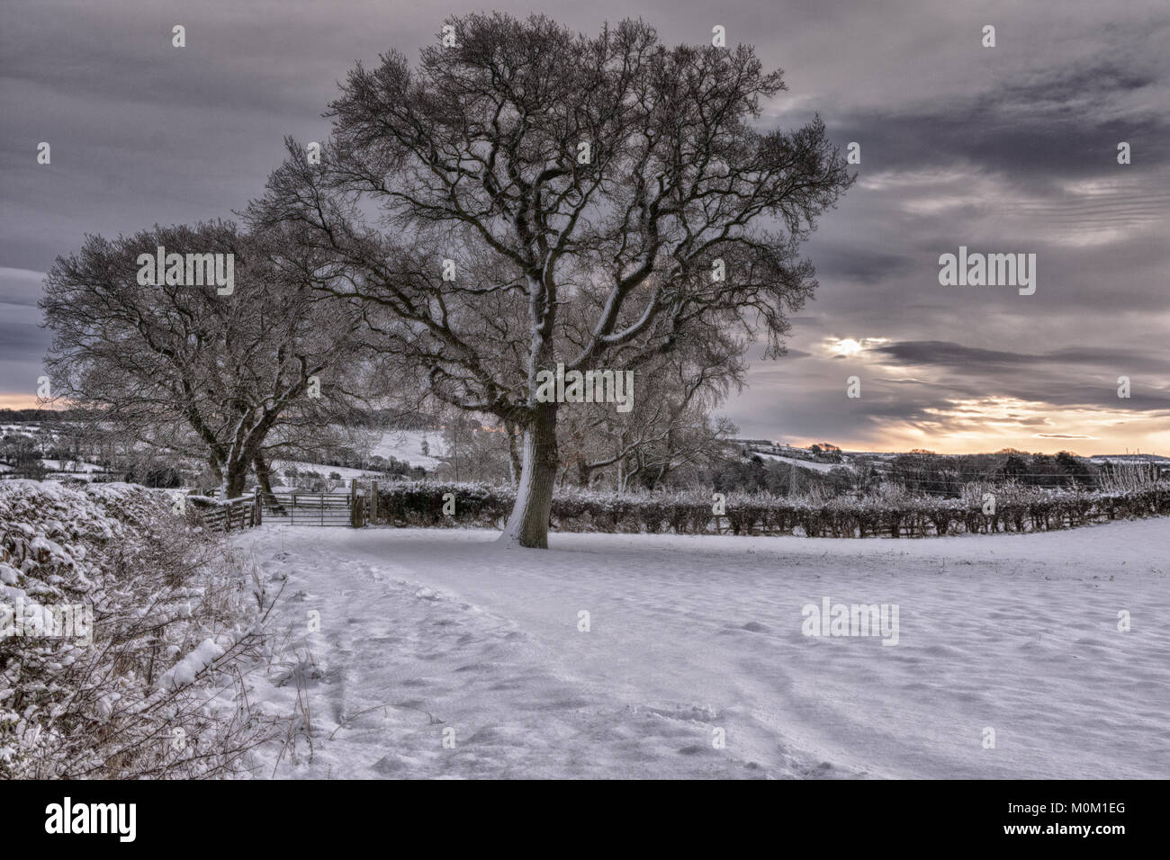After a heavy snowfall in County Durham the fields and the surrounding ...