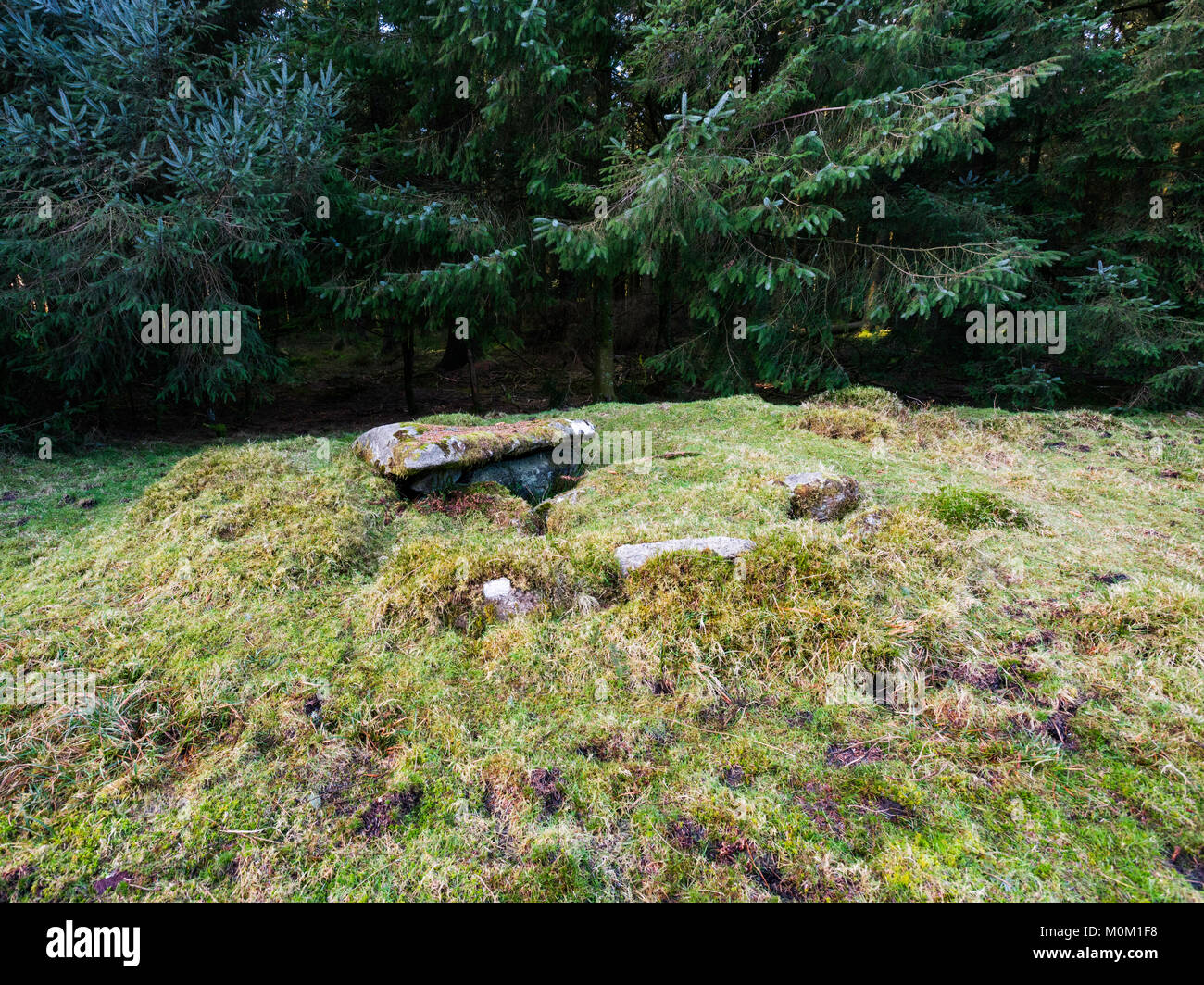 Ancient 'Cairn One' near Bellever Tor, Daartmoor, Devon, UK, consisting ...