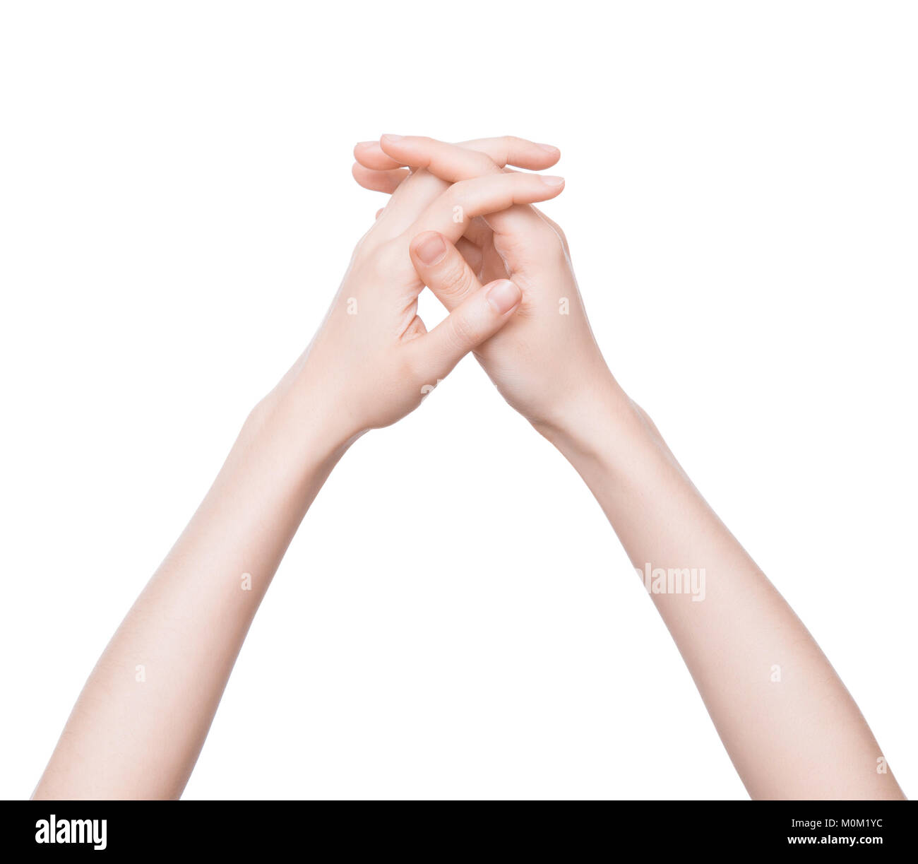 Beautiful female hand on a white background Stock Photo - Alamy