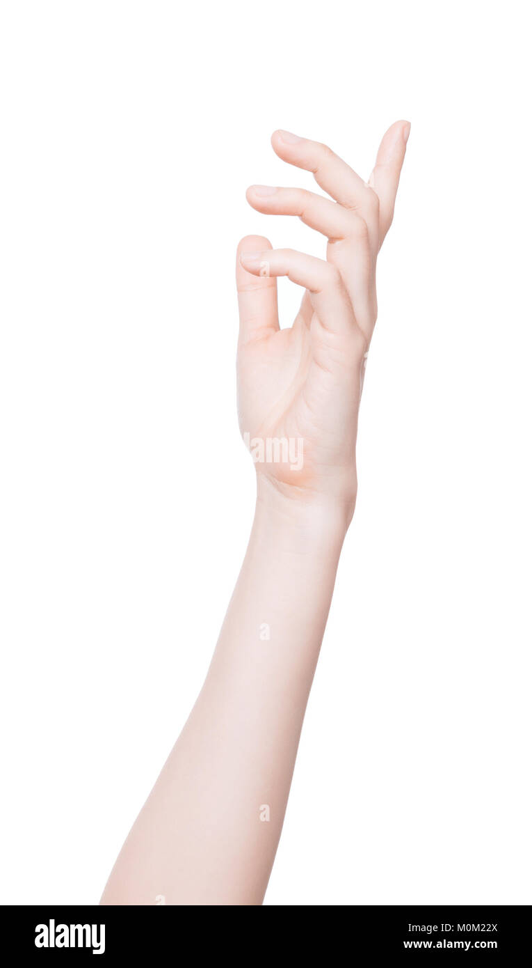Beautiful female hand on a white background Stock Photo - Alamy