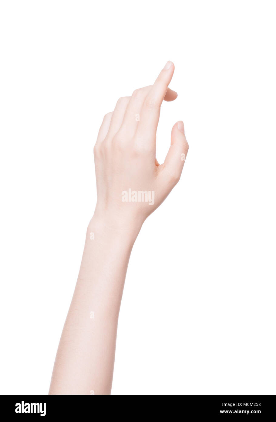 Beautiful female hand on a white background Stock Photo - Alamy