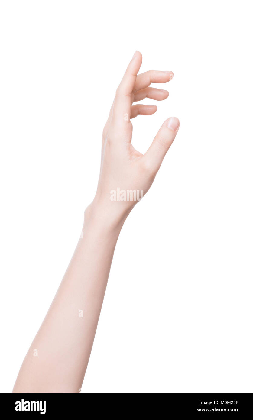 Beautiful female hand on a white background Stock Photo - Alamy