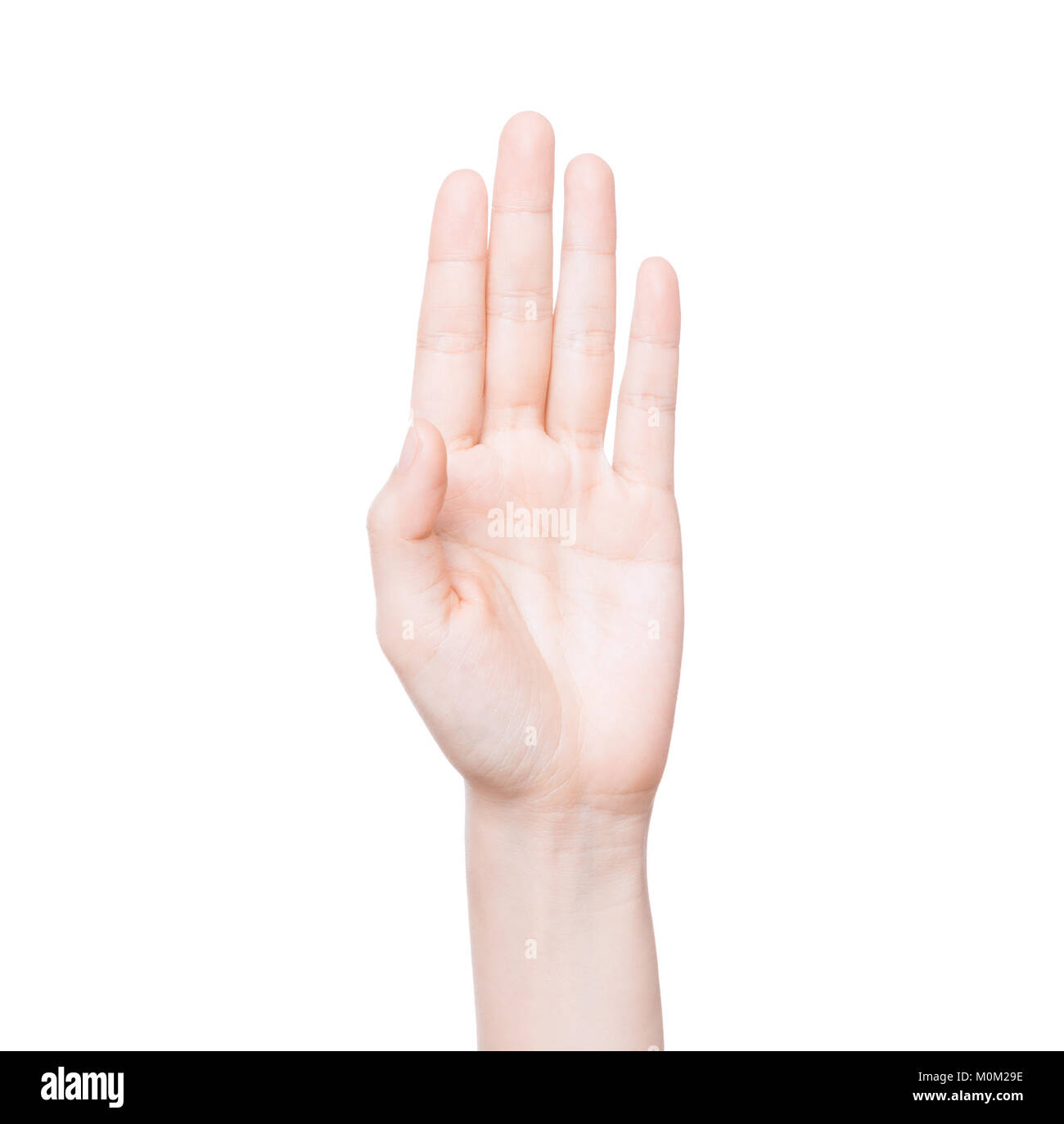 Beautiful female hand on a white background Stock Photo - Alamy