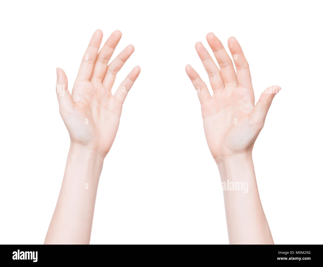 Beautiful female hand on a white background Stock Photo - Alamy