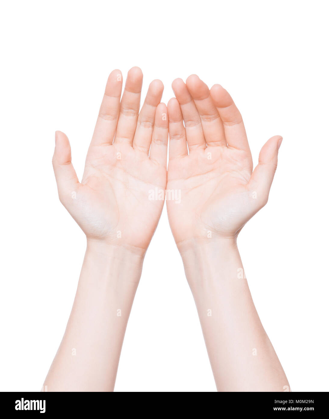 Beautiful female hand on a white background Stock Photo - Alamy