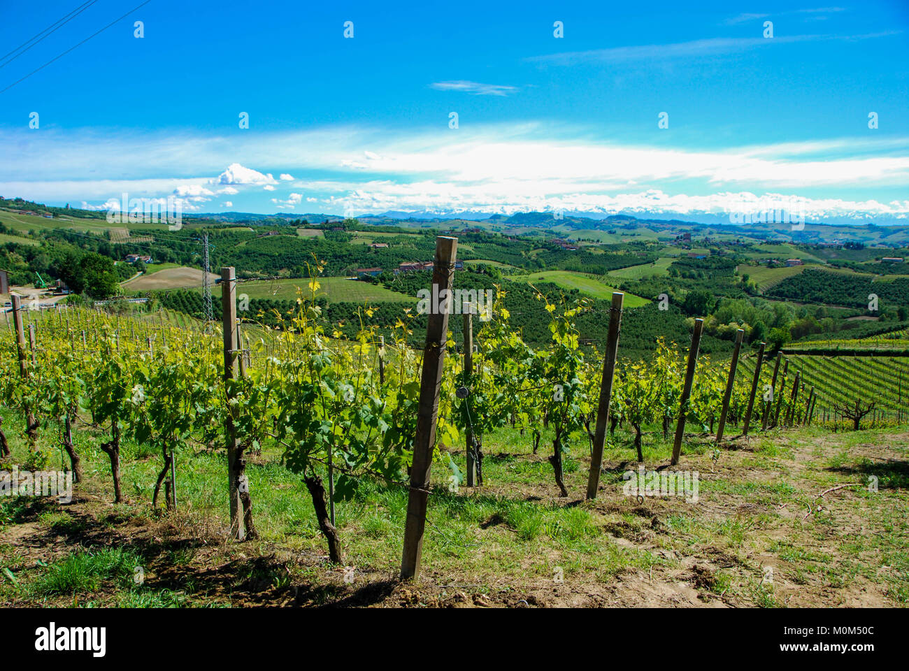 View of Langhe hills with vineyards and the Alps mountains in the ...